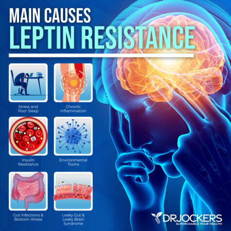 Leptin Resistance: Symptoms, Causes and Support Strategies