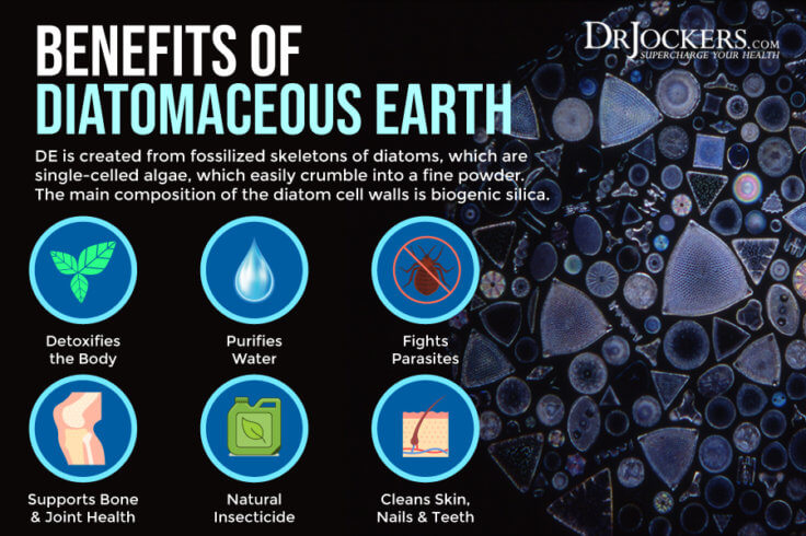 How to Use Toxin Binders to Cleanse the Body - DrJockers.com