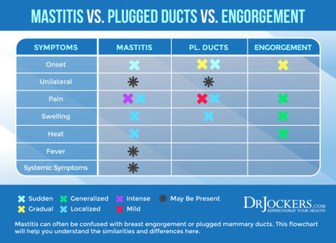 Mastitis During Breastfeeding: Symptoms and Support Strategies