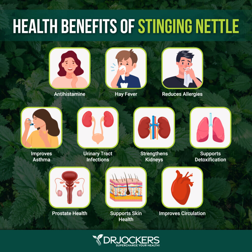 Pollen Allergies: Symptoms & Natural Support Strategies