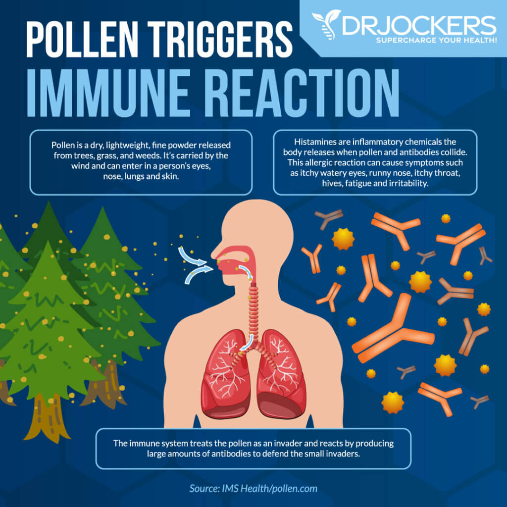 Pollen Allergies: Symptoms & Natural Support Strategies