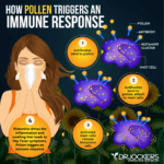 Pollen Allergies: Symptoms & Natural Support Strategies