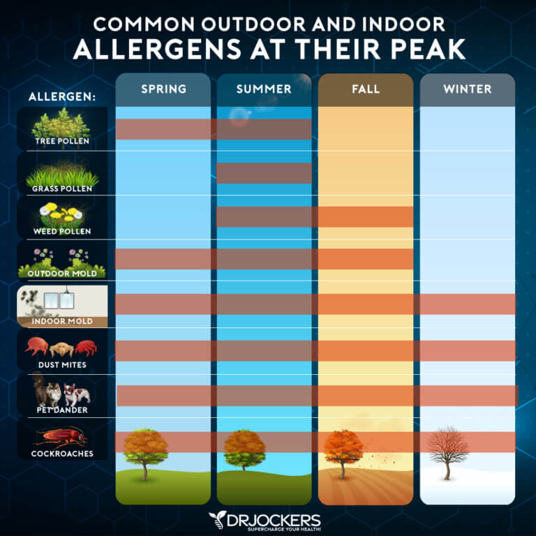 Pollen Allergies: Symptoms & Natural Support Strategies