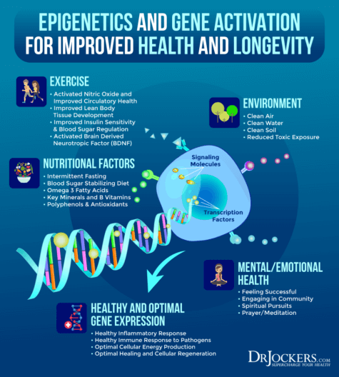 How Your Genes Impact Weight Loss and Metabolism - DrJockers.com