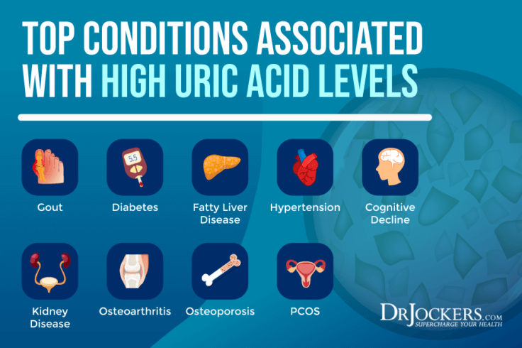 Uric Acid: A Key Player in Cardio, Brain, and Metabolic Diseases