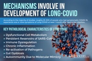 Post Viral Syndrome: Symptoms and Healing Protocol