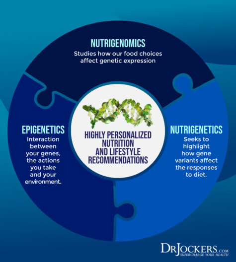 How Your Genes Impact Weight Loss and Metabolism - DrJockers.com
