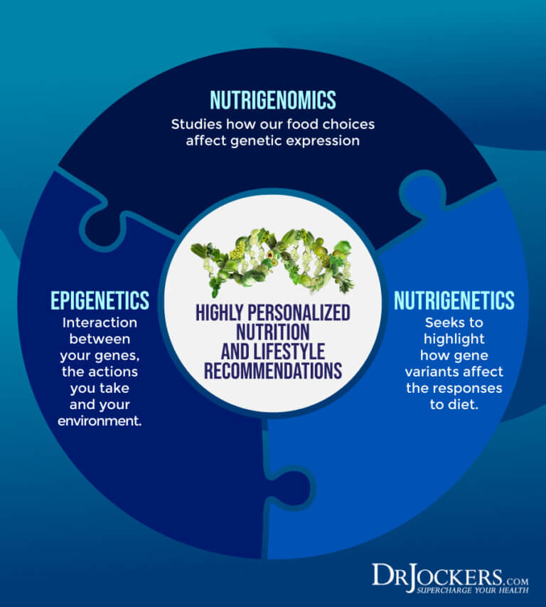 How Your Genes Impact Weight Loss and Metabolism - DrJockers.com