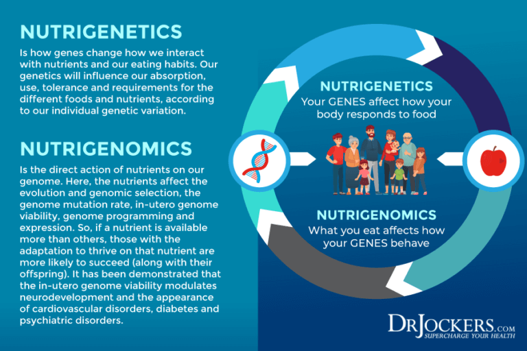 How Your Genes Impact Weight Loss and Metabolism - DrJockers.com