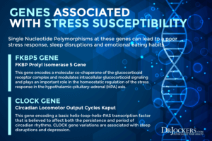 How Your Genes Impact Weight Loss and Metabolism - DrJockers.com