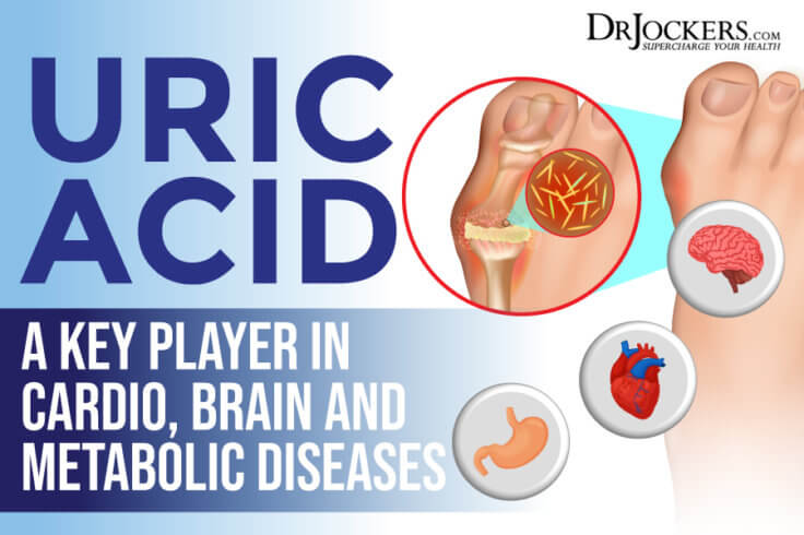 Uric Acid: A Key Player in Cardio, Brain, and Metabolic Diseases