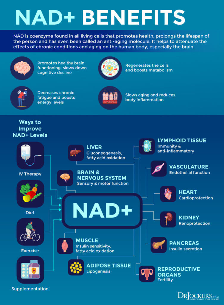 Top Longevity Supplements to Take for Anti-Aging - DrJockers.com