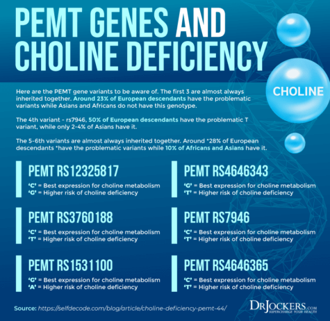 Choline: Signs of Deficiency, Benefits, and Food Sources