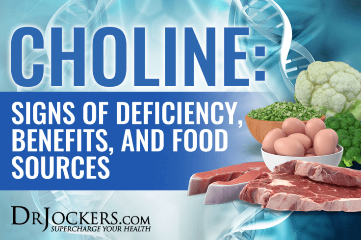 Choline: Signs of Deficiency, Benefits, and Food Sources