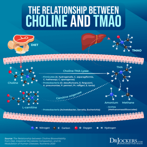Choline: Signs of Deficiency, Benefits, and Food Sources