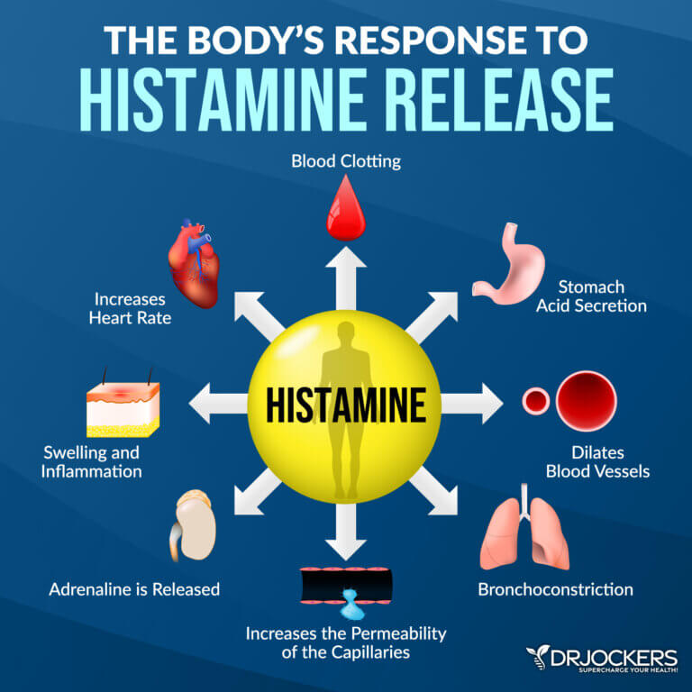 Are You Suffering From Histamine Intolerance? - DrJockers.com