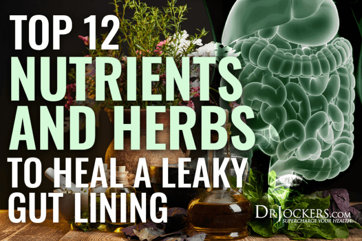 Top 12 Nutrients and Herbs to Heal a Leaky Gut Lining - DrJockers.com