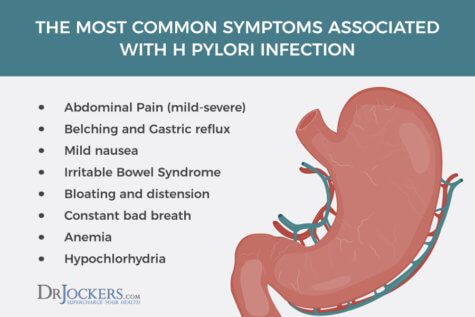 The Damaging Effects of H Pylori Infections - DrJockers.com