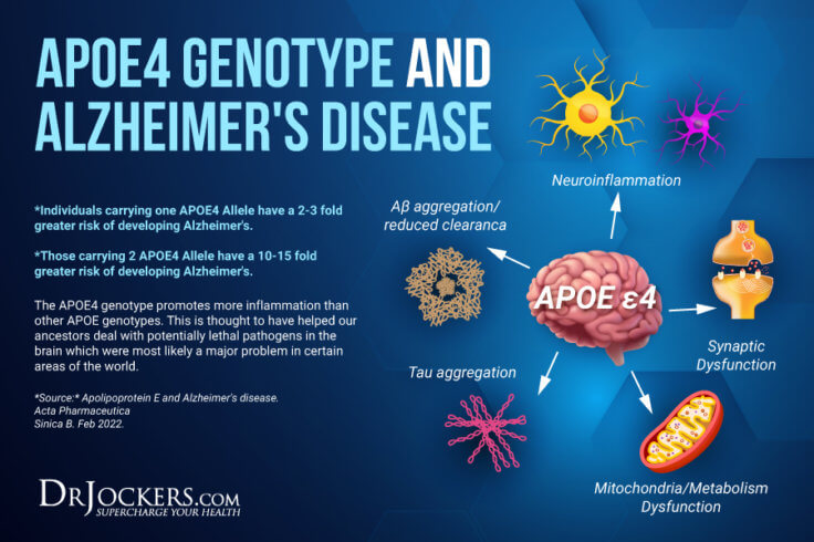 Beta Amyloid: Link to Alzheimer's and Healing Strategies