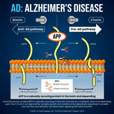 Beta Amyloid: Link to Alzheimer's and Healing Strategies