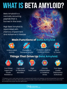 Beta Amyloid: Link to Alzheimer's and Healing Strategies
