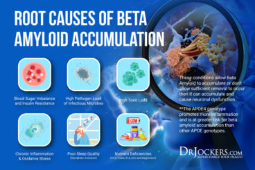 Beta Amyloid: Link to Alzheimer's and Healing Strategies