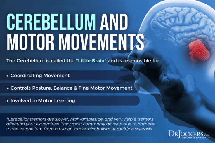 Tremors: Root Causes and Natural Support Strategies