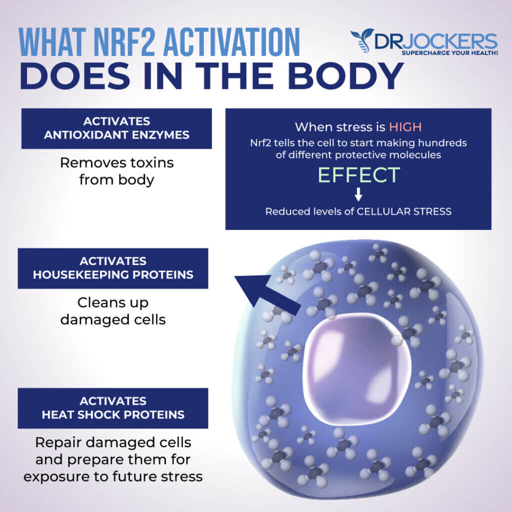 5 Ways to Activate the Anti-oxidant Benefits of Nrf2
