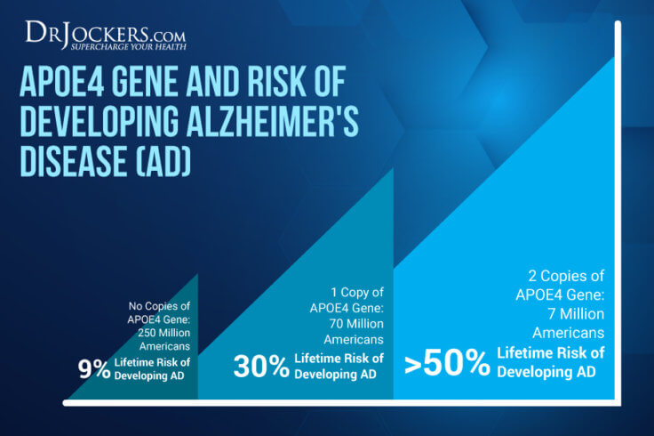 APOE4 Gene and Your Risk of Alzheimer's - DrJockers.com APOE4 Gene and Your Risk of Alzheimer's - DrJockers.com
