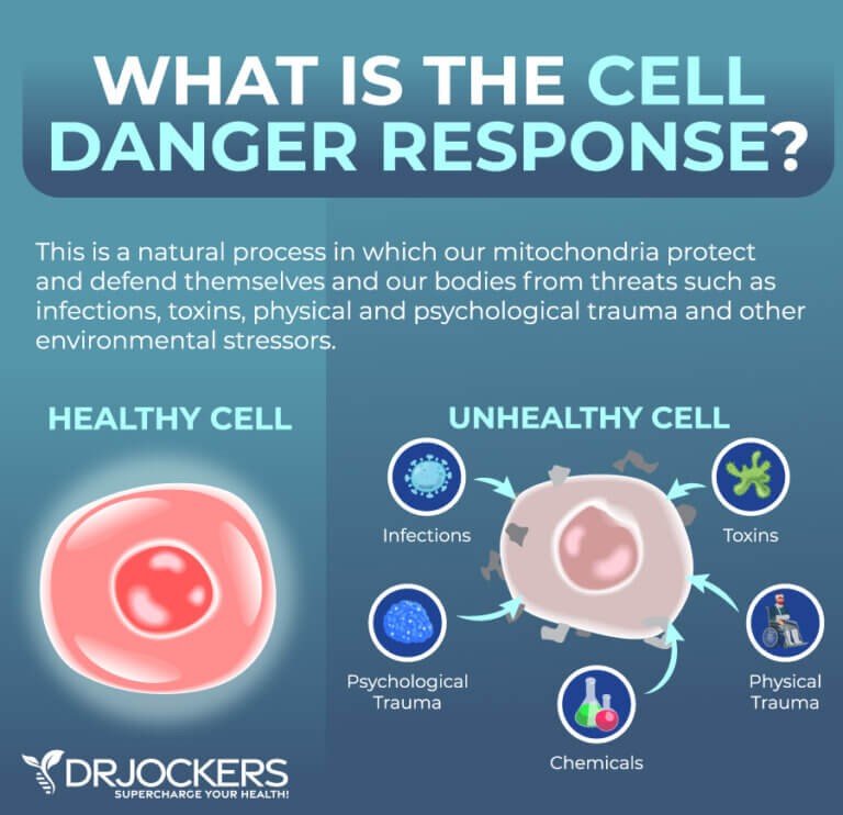 The Cell Danger Response: New Theory For Chronic Illnesses