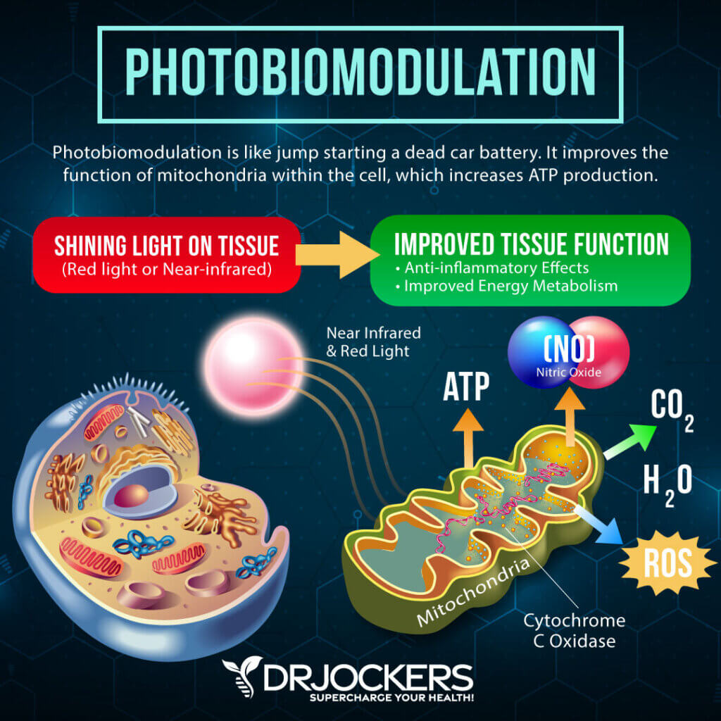 Red Light Therapy: Improve Skin, Energy & Sleep - DrJockers.com