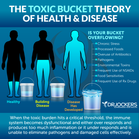 How to Use Toxin Binders to Cleanse the Body - DrJockers.com