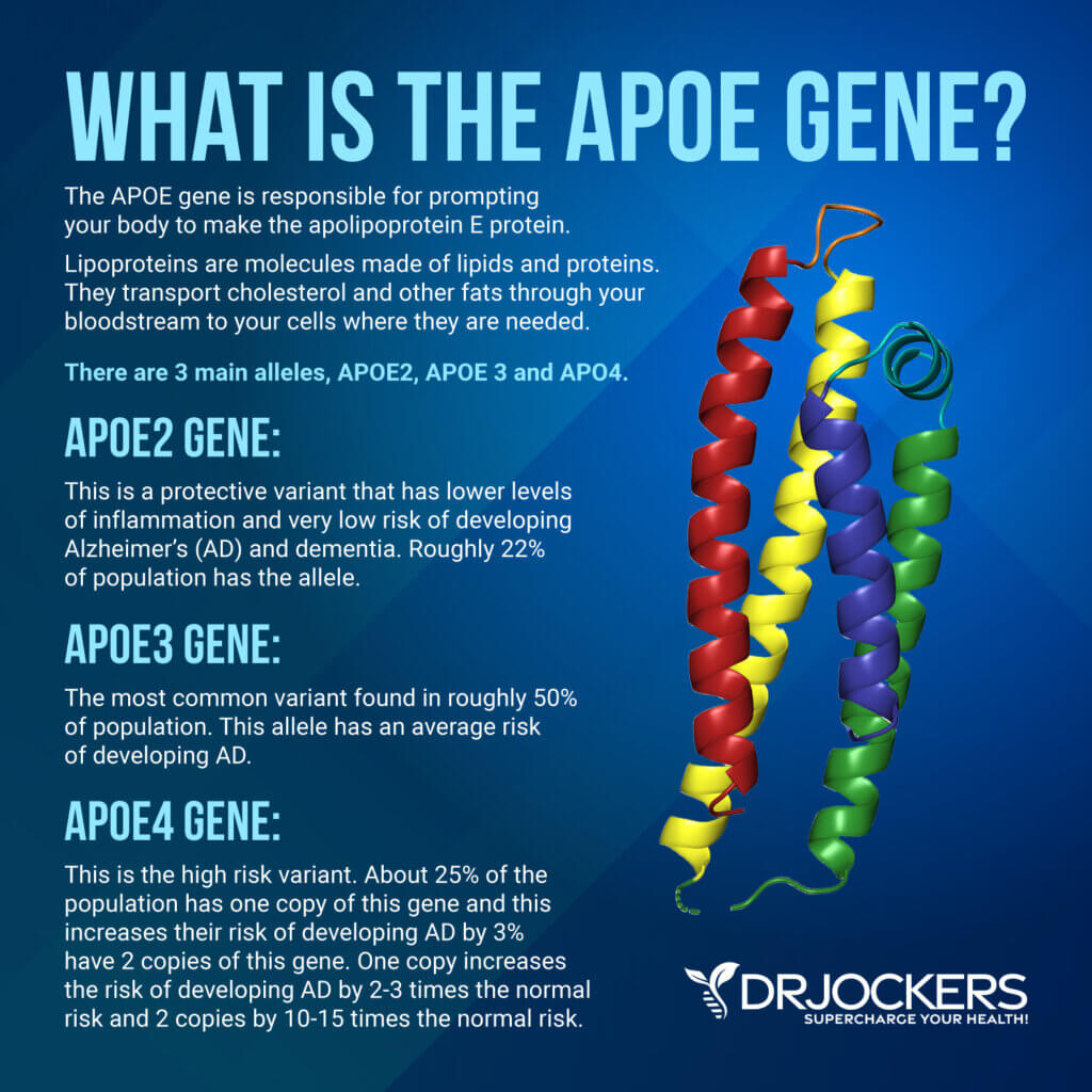APOE4 Gene and Your Risk of Alzheimer's - DrJockers.com APOE4 Gene and Your Risk of Alzheimer's - DrJockers.com