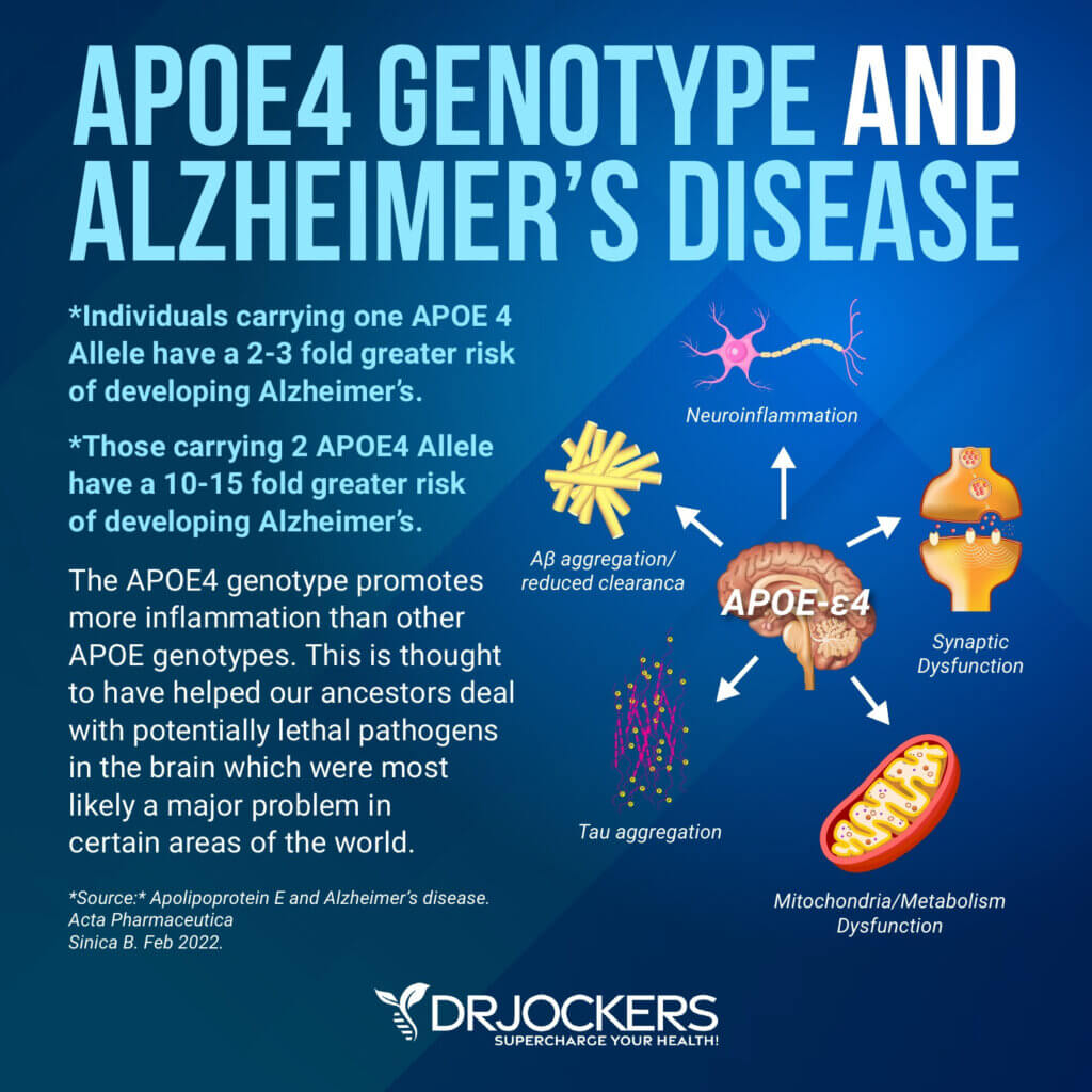 APOE4 Gene and Your Risk of Alzheimer's - DrJockers.com APOE4 Gene and Your Risk of Alzheimer's - DrJockers.com