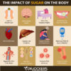 The Destructive Sugar Impact on the Body - DrJockers.com