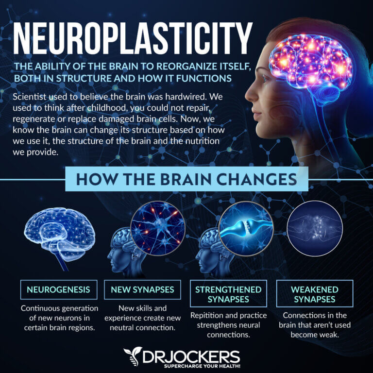 Limbic Retraining: 10 Strategies to Improve Limbic System Function