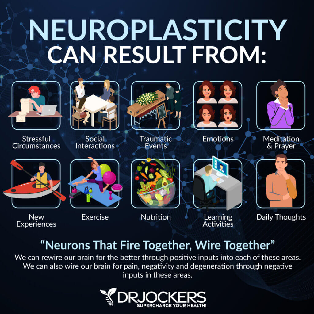 Brain Regeneration: 12 Ways to Heal Brain Cells - DrJockers.com