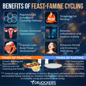 7 Herbs That Enhance Autophagy and Cellular Healing