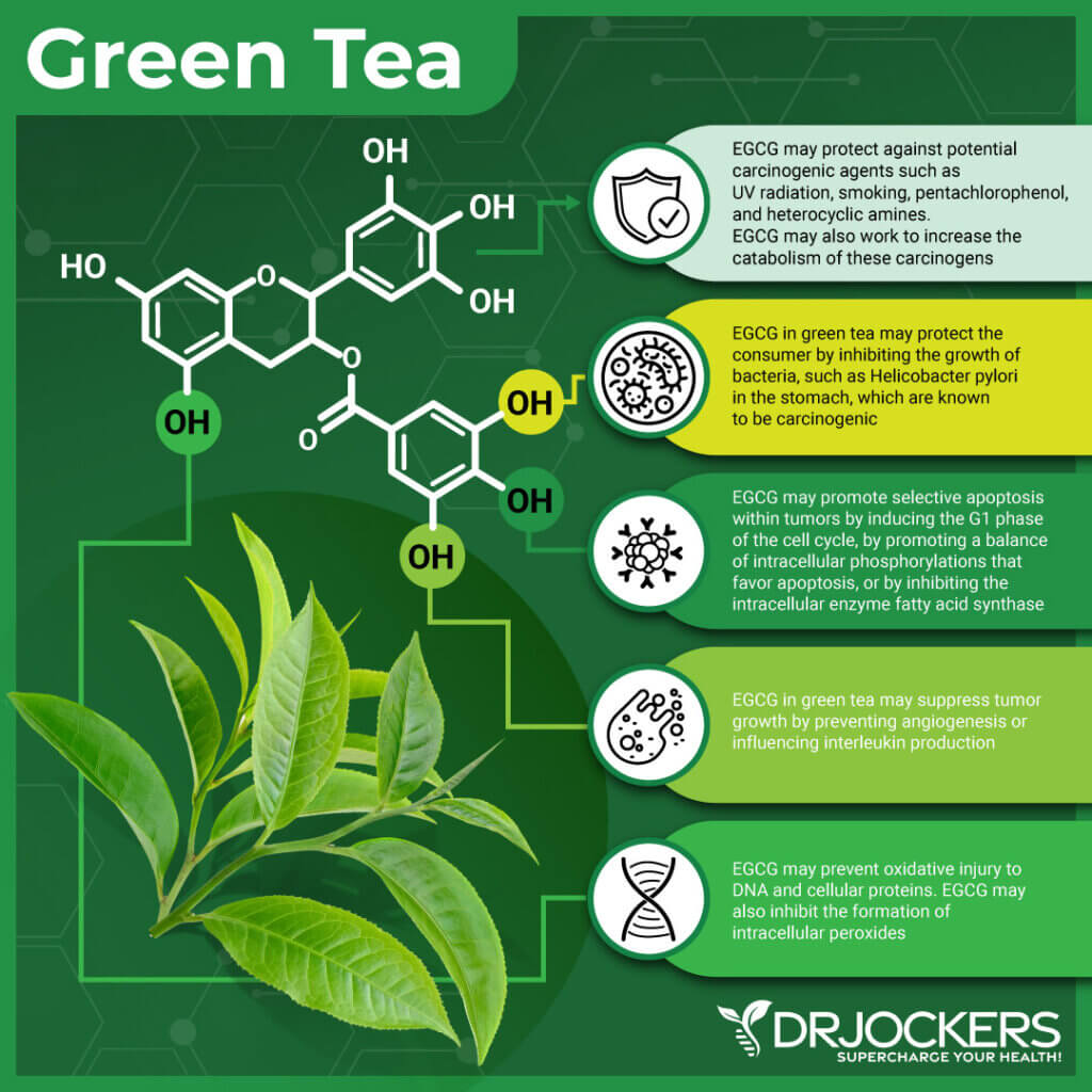 7 Herbs That Enhance Autophagy and Cellular Healing