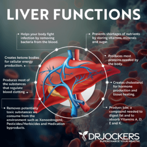 Testing Liver Function: Key Lab Markers and Functional Analysis
