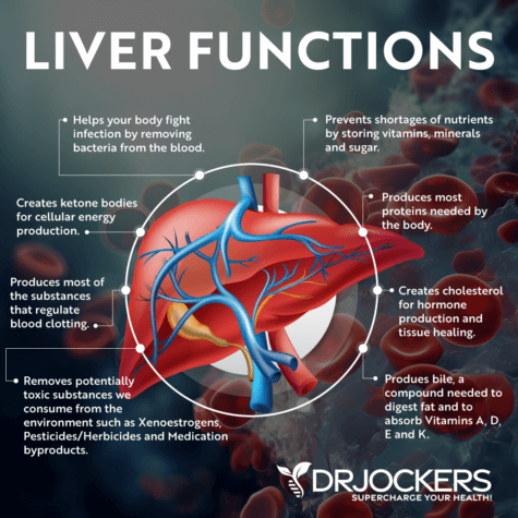 Testing Liver Function: Key Lab Markers and Functional Analysis