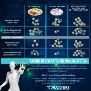 How a 3 Day Fast Resets the Immune System - DrJockers.com
