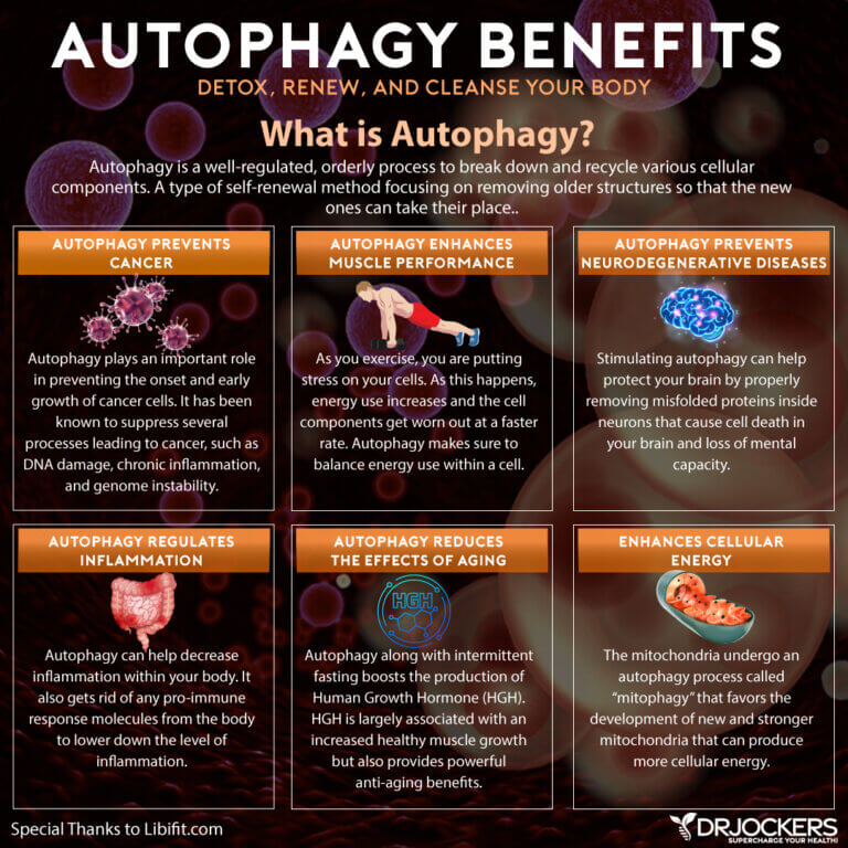 6 Ways To Activate Autophagy Without Fasting - DrJockers.com