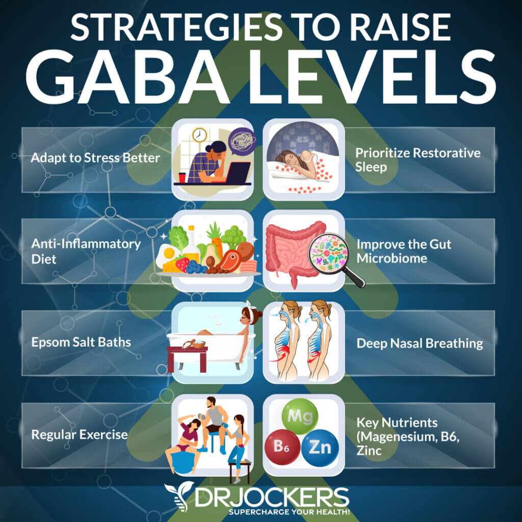 Is Your Brain Making Enough GABA? - DrJockers.com