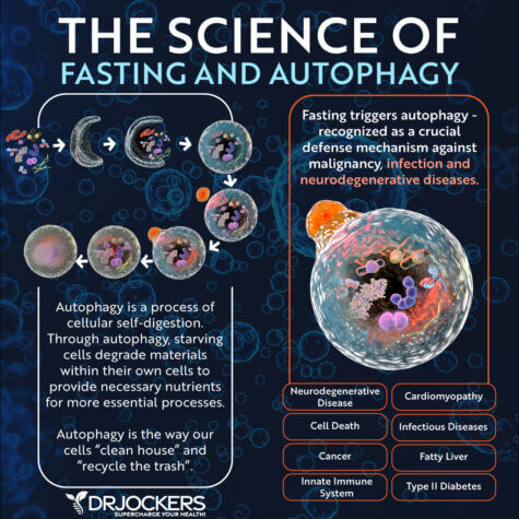 6 Ways To Activate Autophagy Without Fasting - DrJockers.com