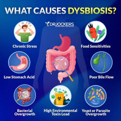 Dysbiosis: What is It and How to Heal Your Microbiome - DrJockers.com