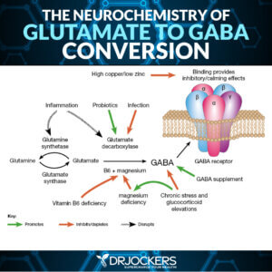 Is Your Brain Making Enough GABA? - DrJockers.com