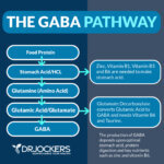 Is Your Brain Making Enough GABA? - DrJockers.com