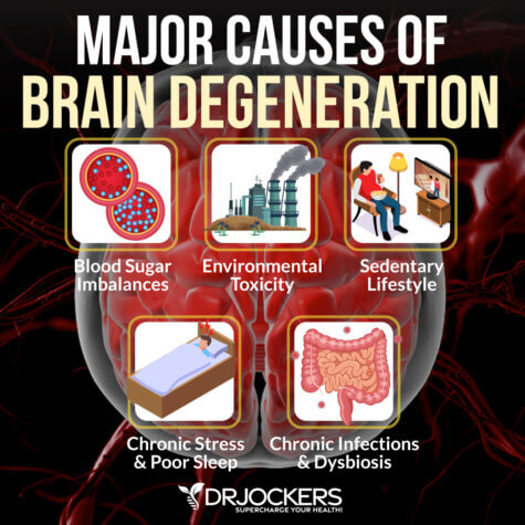 Brain Degeneration: Causes, Symptoms & Solutions - DrJockers.com