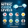 Nitric Oxide Benefits and How to Increase Levels - DrJockers.com